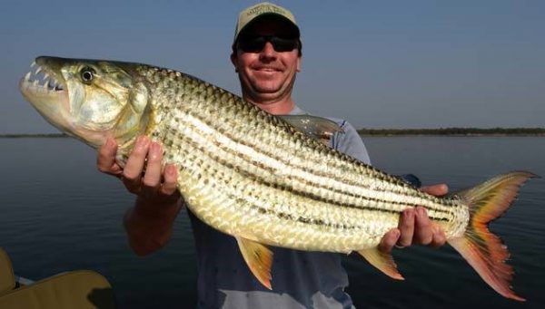 How and where can I catch Tigerfish on the fly | Completely Unique Safaris